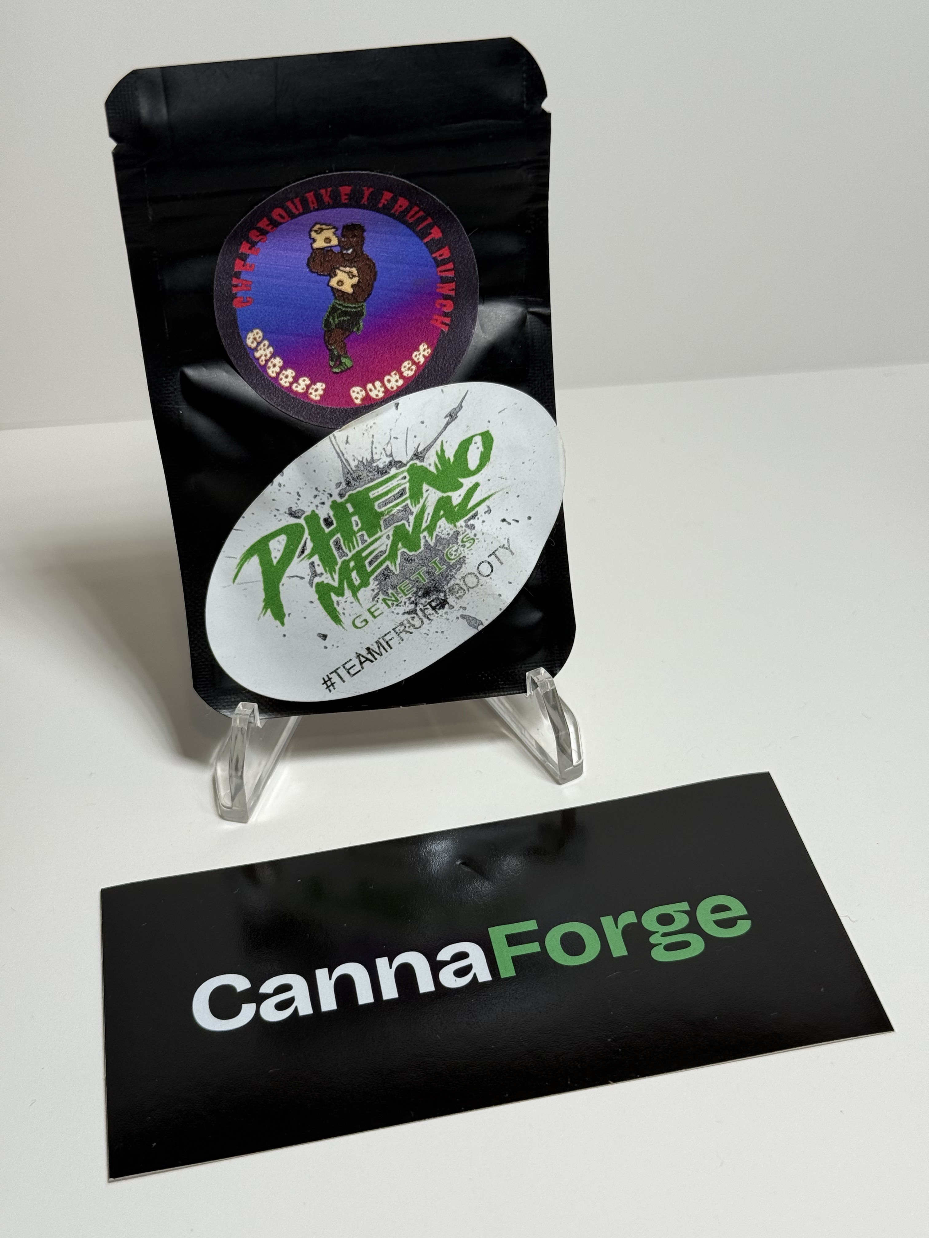 Cheese Punch by Phenomenal Genetics | Cheesequake x Fruit Punch ...